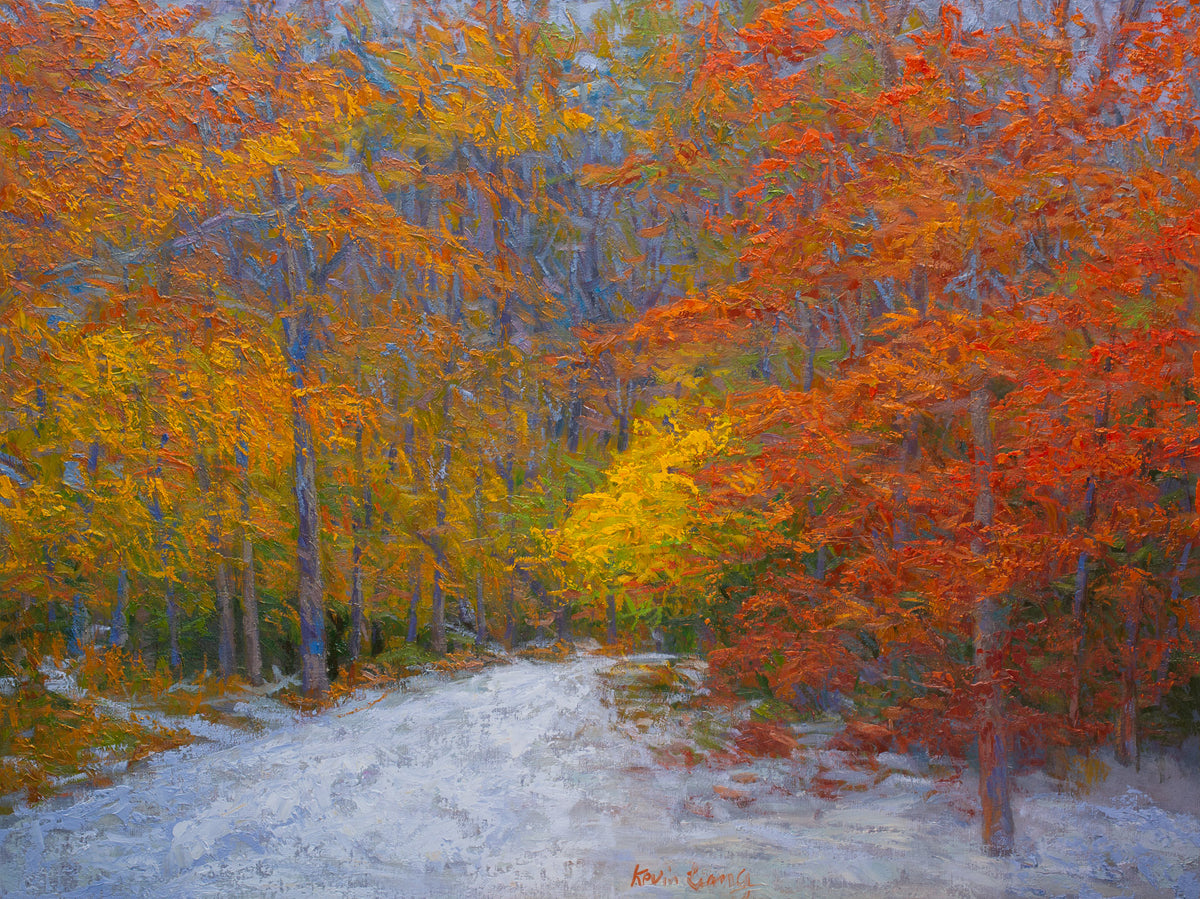 Snow Path – Kevin Liang's Art Gallery